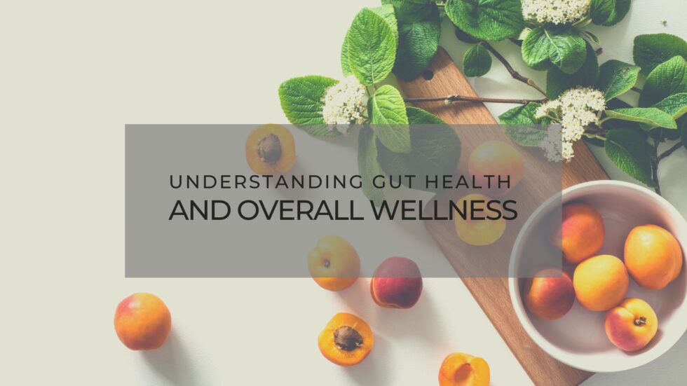 Understanding Gut Health and Overall Wellness | Herrick Lipton New Horizon